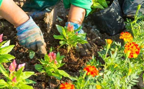 Residential Landscape Design - Egan Landscape Group